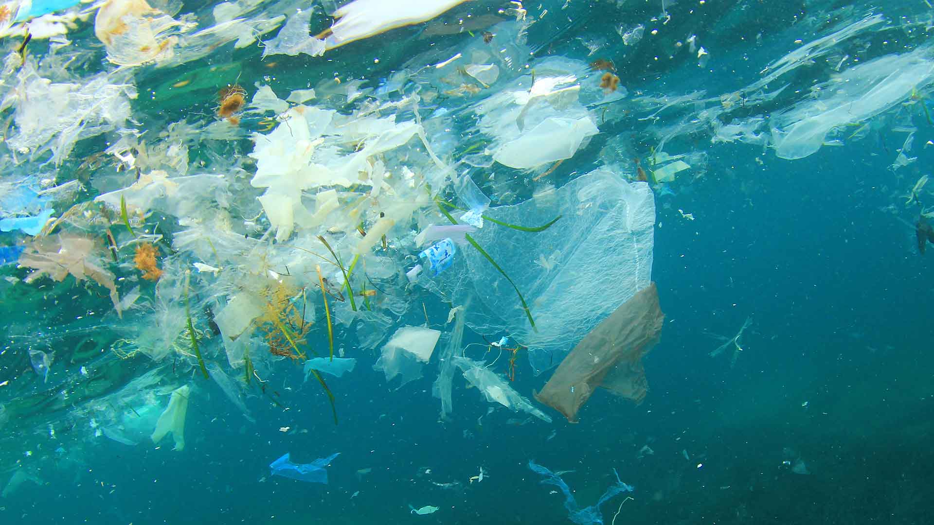 A tidal wave of plastic
