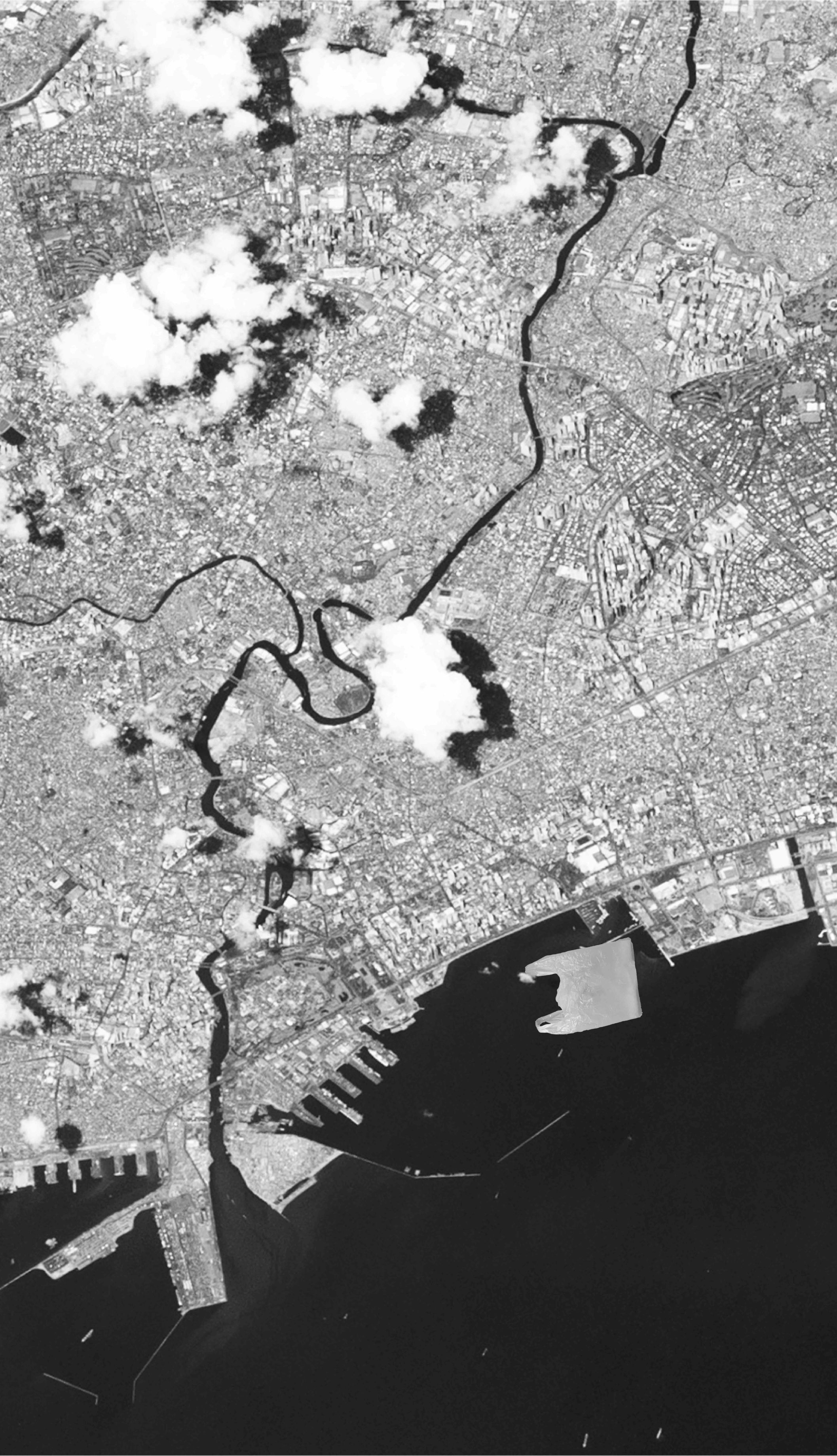 A tidal wave of plastic